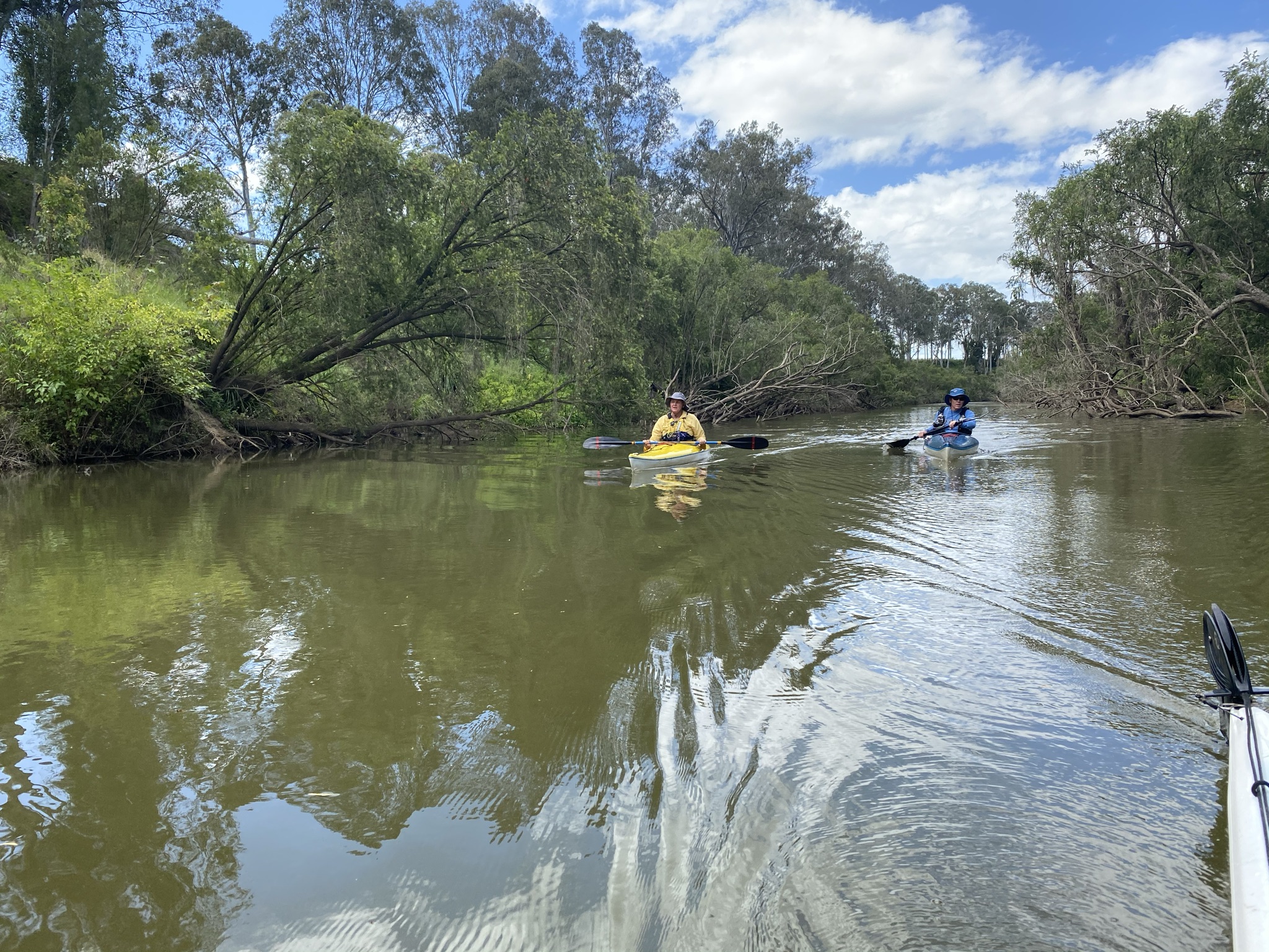 Logan and Albert River Canoe Trail – Bligh Tanner