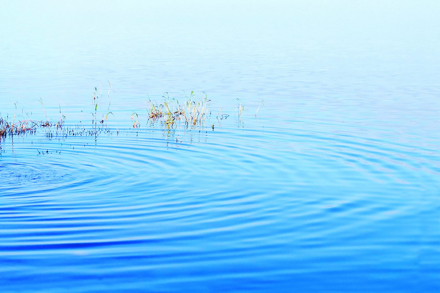 Moreton Bay Total Watercycle Management Plan – Bligh Tanner