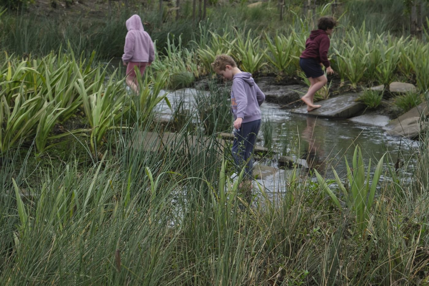 AILA 2023 National Landscape Architecture Awards – Bligh Tanner